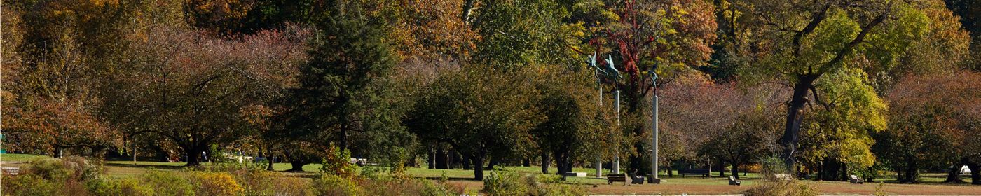 Spectator Parking | Stotesbury Cup Regatta